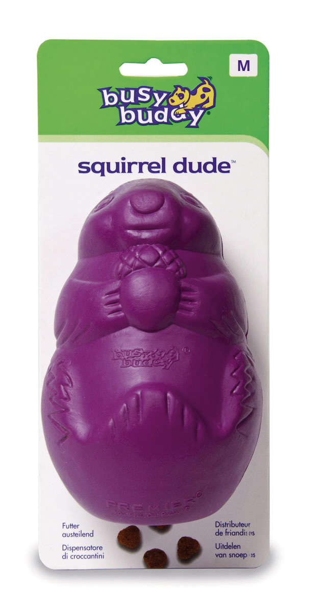 BUSY BUDDY SQUIRREL DUDE MED - PRODUCTOS